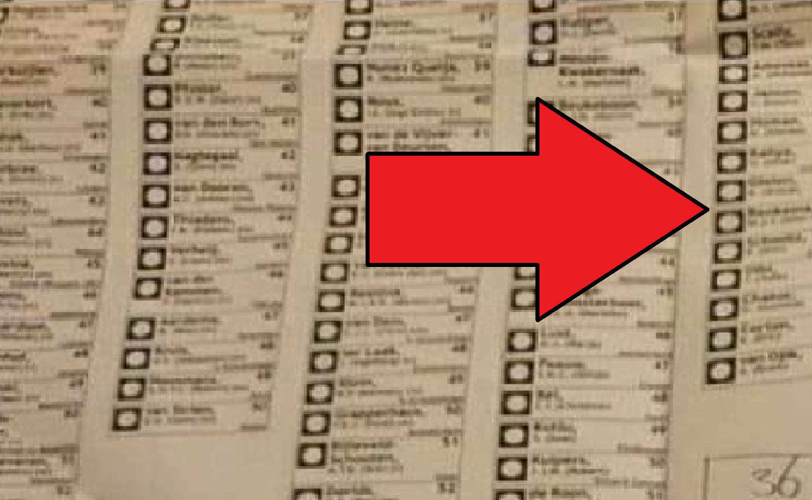 Wedden dat jij deze partij én namenlijst gemist hebt op het stemformulier!